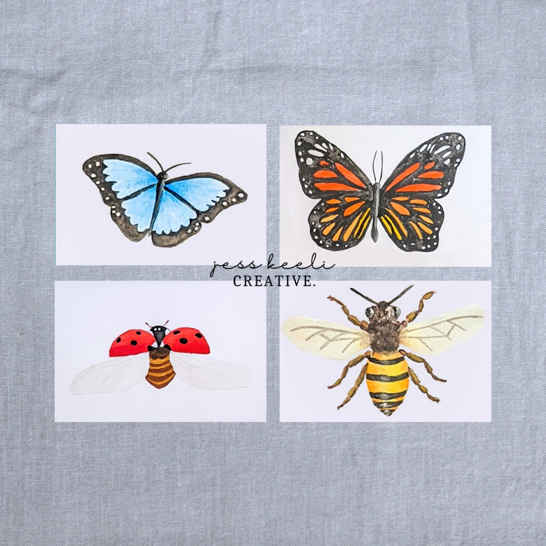 INSECTS - Watercolour Painting Kit – Jess Keeli Creative