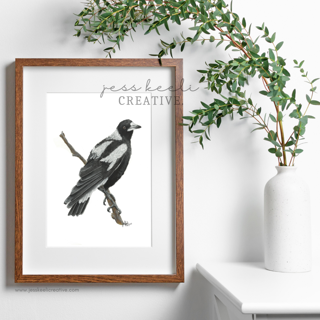 MAGGIE - Australian Magpie – Jess Keeli Creative