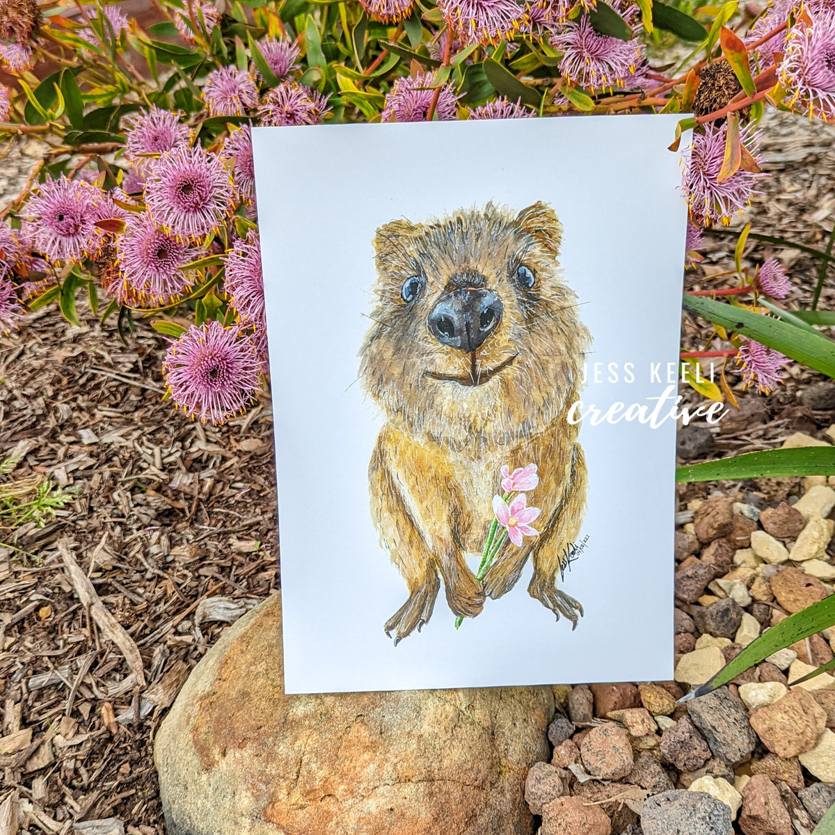KEVIN - Quokka – Jess Keeli Creative